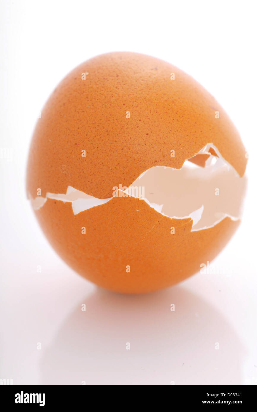 broken egg shell isolated on white background Stock Photo - Alamy