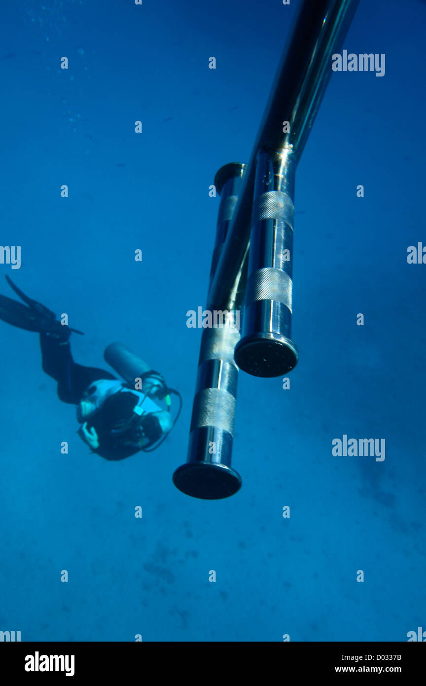 divers in the red sea deep diving Stock Photo - Alamy