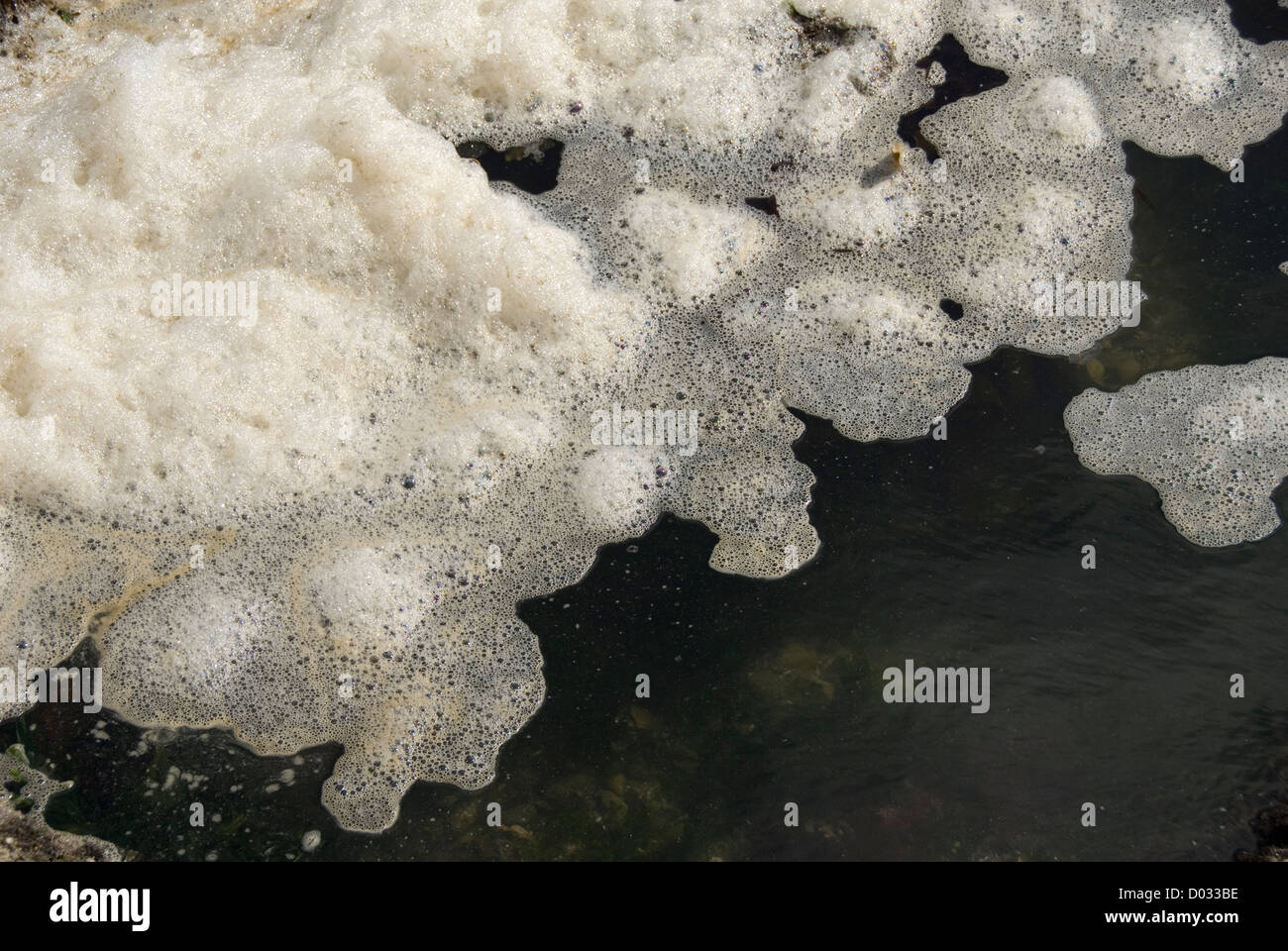 Foam, pollution, sea, United Kingdom, Europe Stock Photo - Alamy