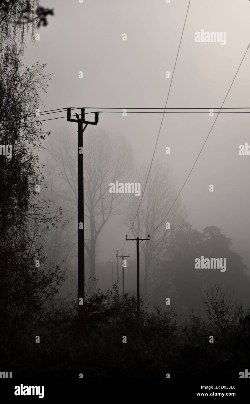 Electrical power lines on telegraph poles in rural countryside in ...