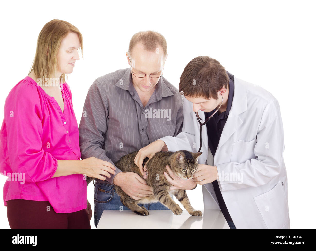 Paraveterinary workers hi-res stock photography and images - Alamy