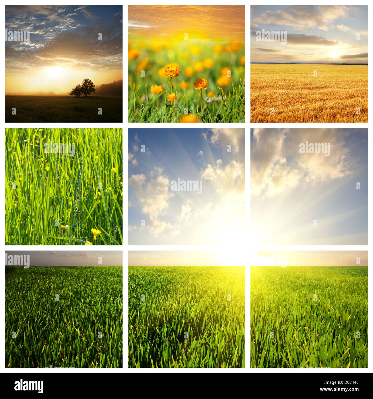 Blue earth county farm hi-res stock photography and images - Alamy