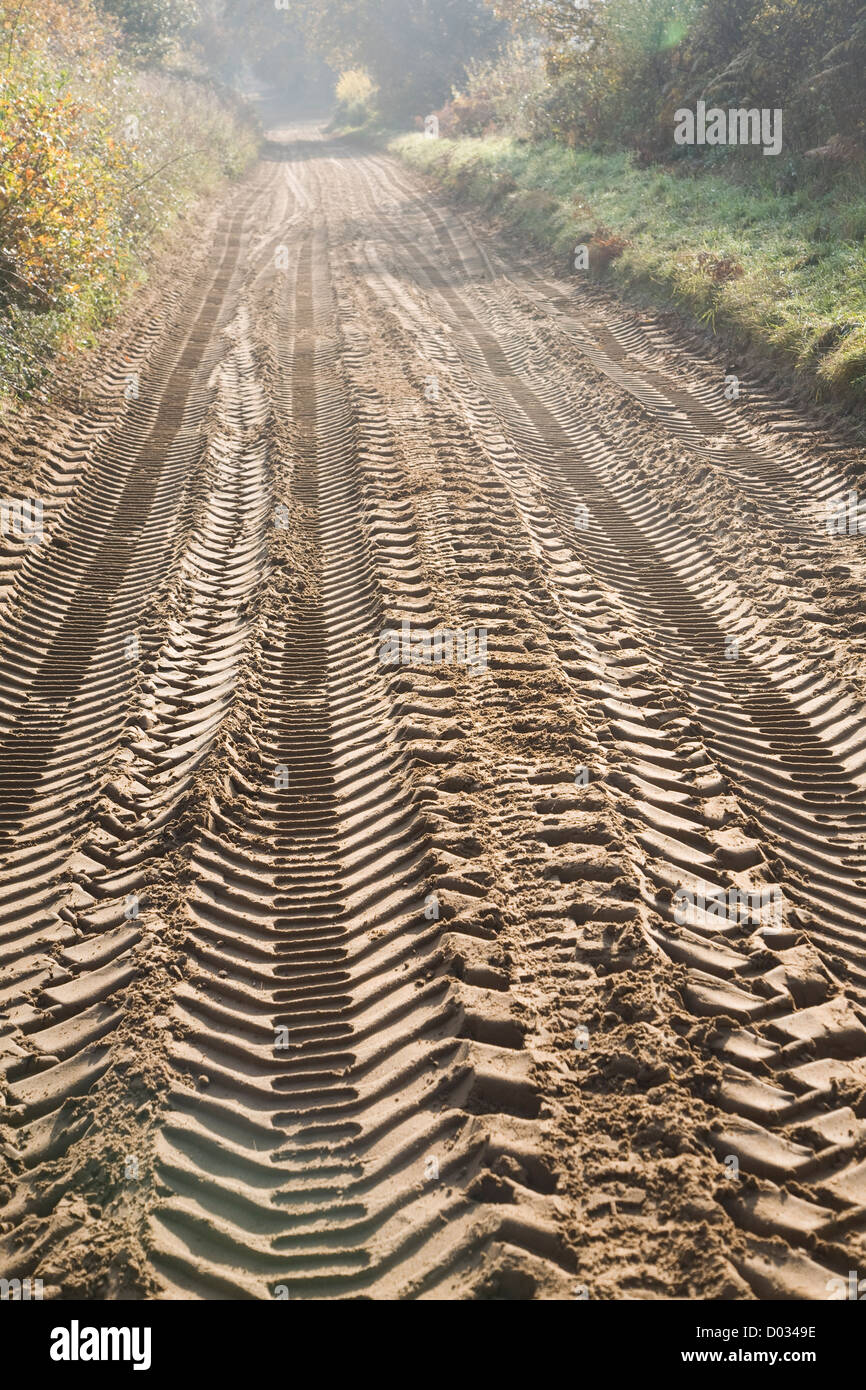 Tyre mark indentations sandy soil track road Stock Photo - Alamy