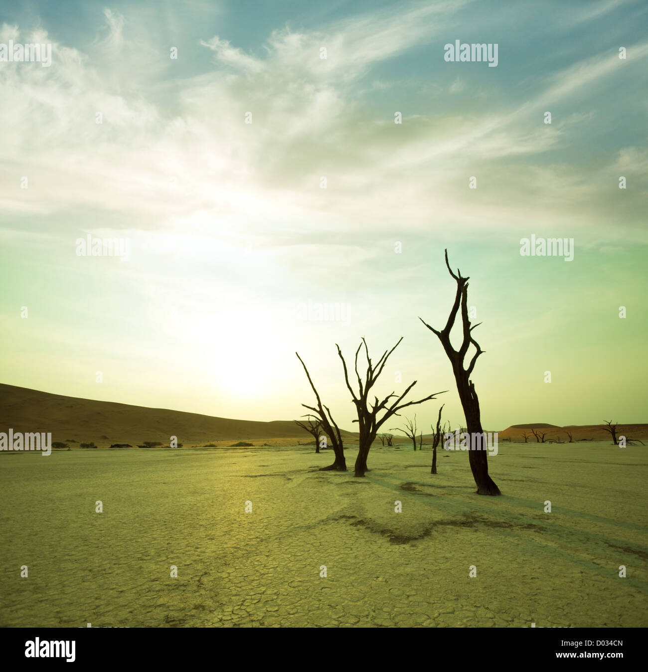 Dead valley in Namibia Stock Photo - Alamy