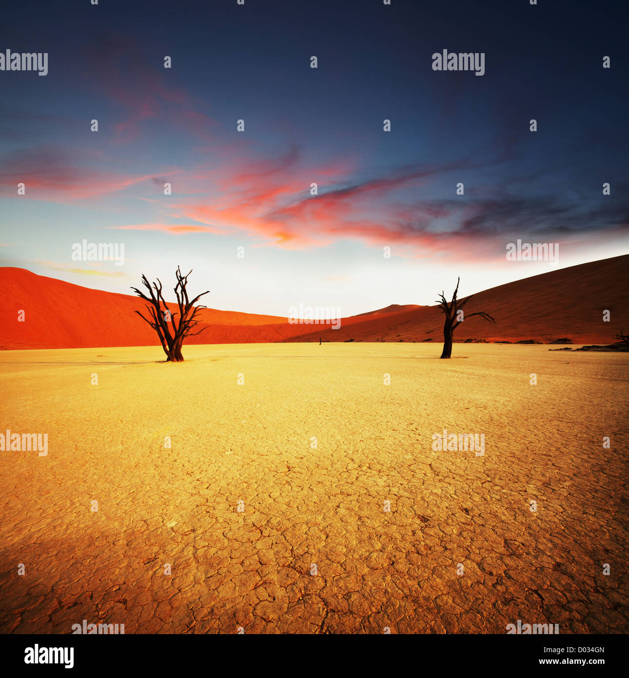Dead valley in Namibia Stock Photo - Alamy