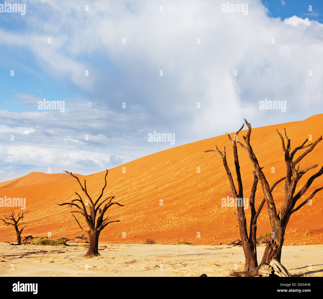 Dead valley in Namibia Stock Photo - Alamy