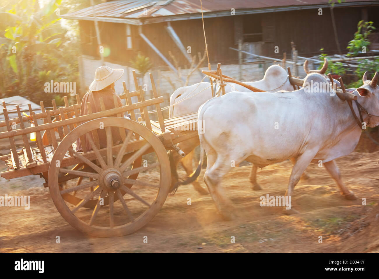 Bullcart hi-res stock photography and images - Alamy