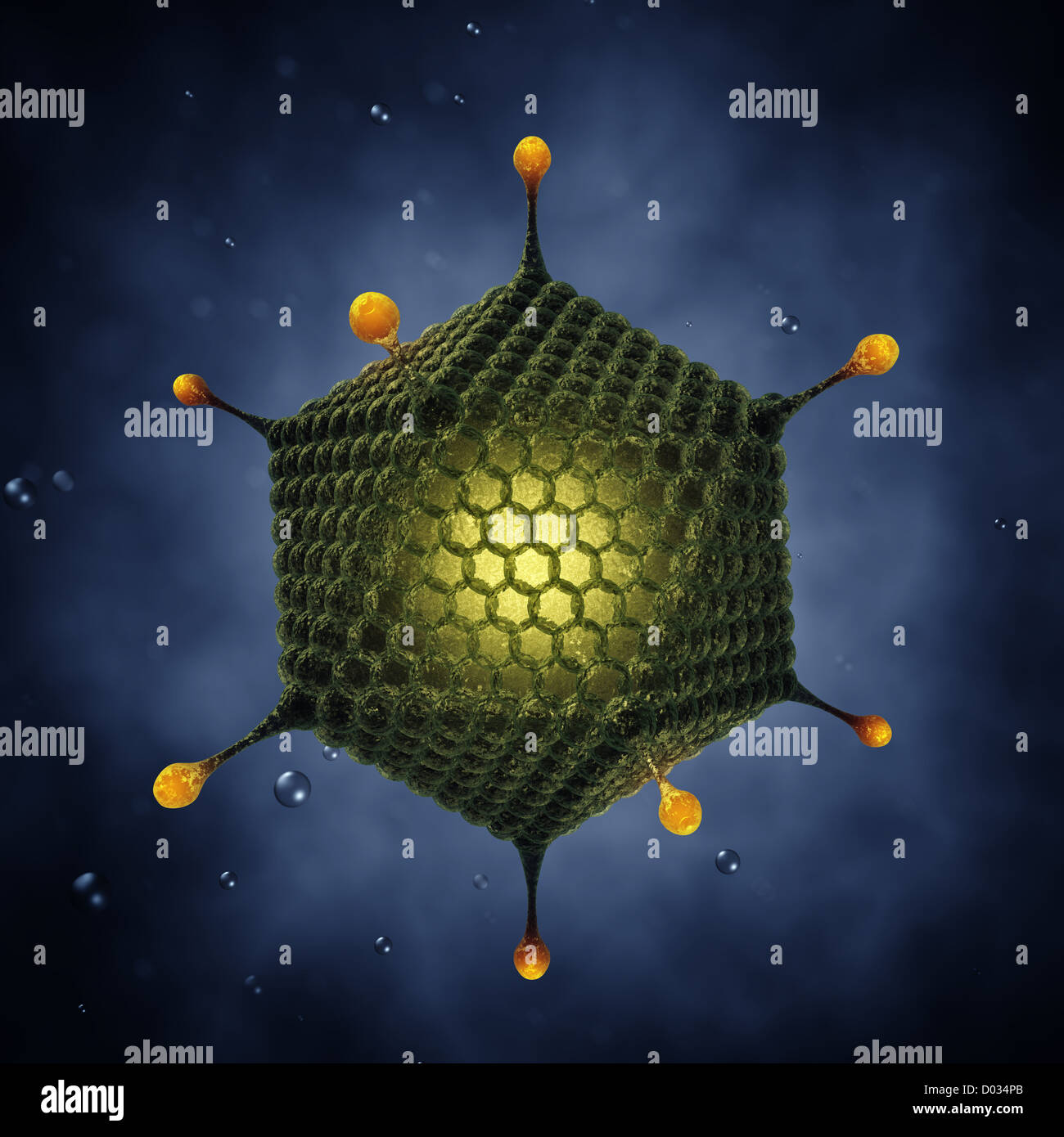 Adenovirus outbreak hi-res stock photography and images - Alamy