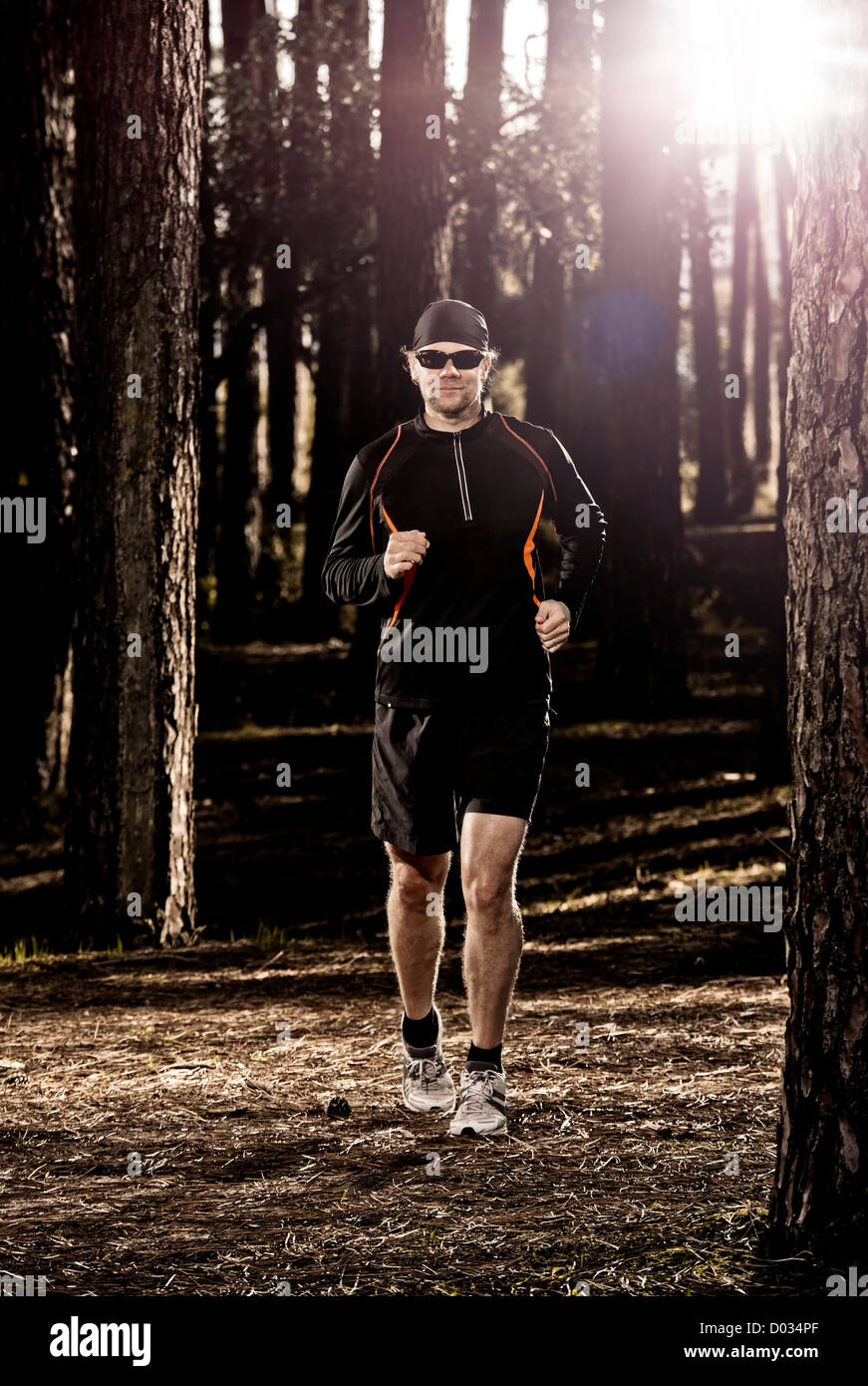 Run forest hi-res stock photography and images - Alamy