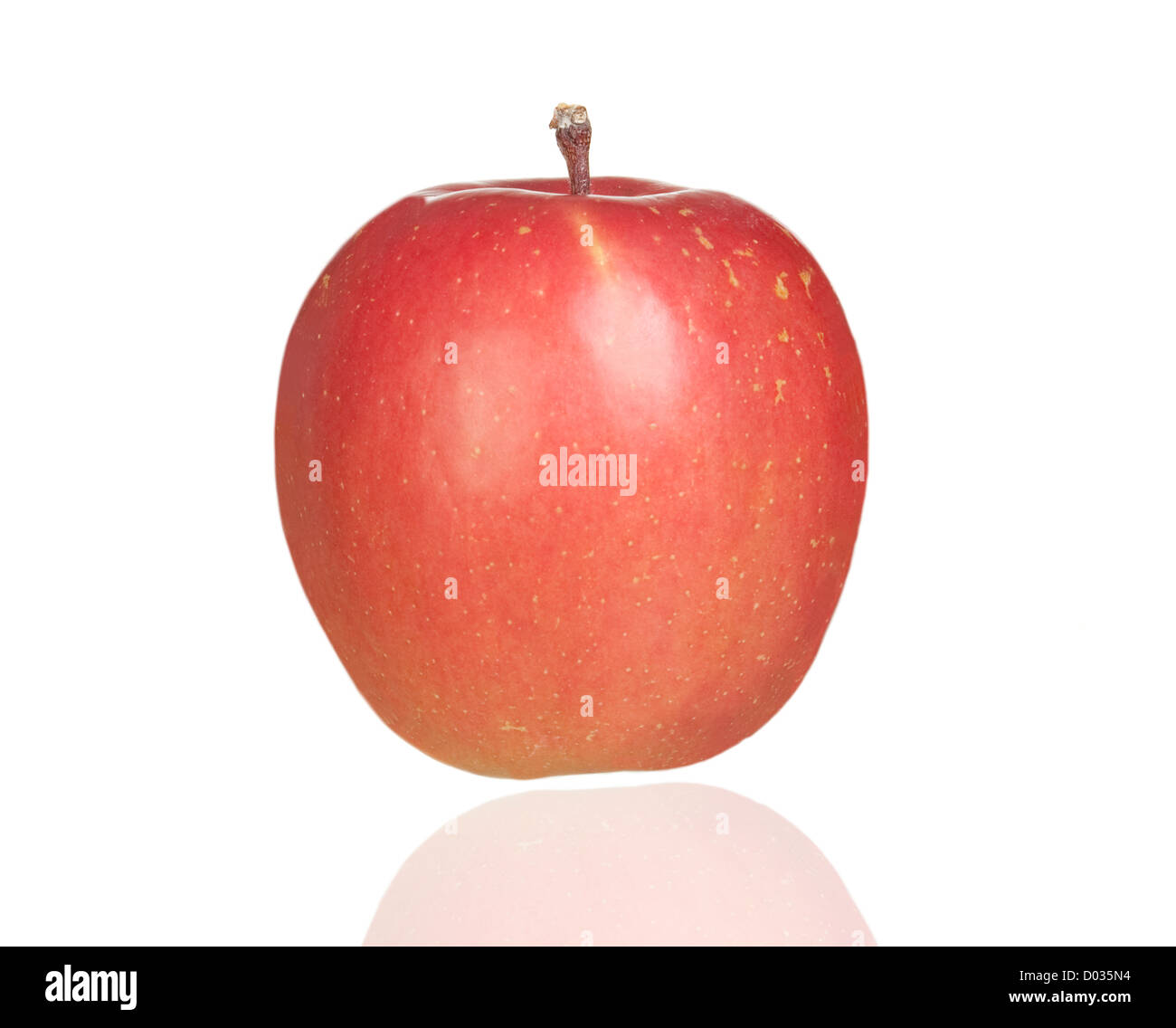 Red delicious apple with reflection on a white background Stock Photo ...