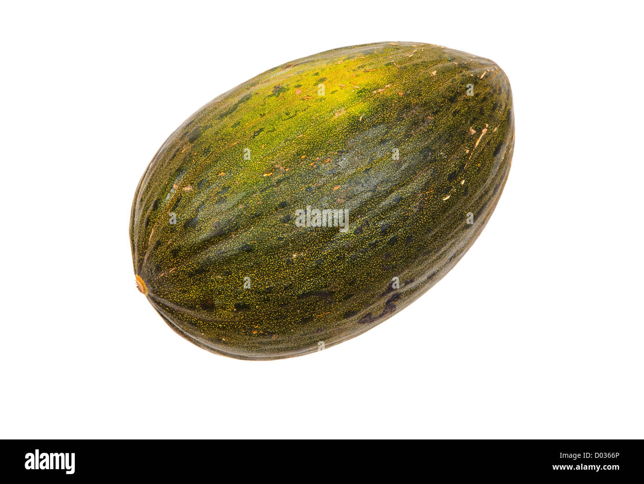 Photo of one melon on a over white background Stock Photo - Alamy