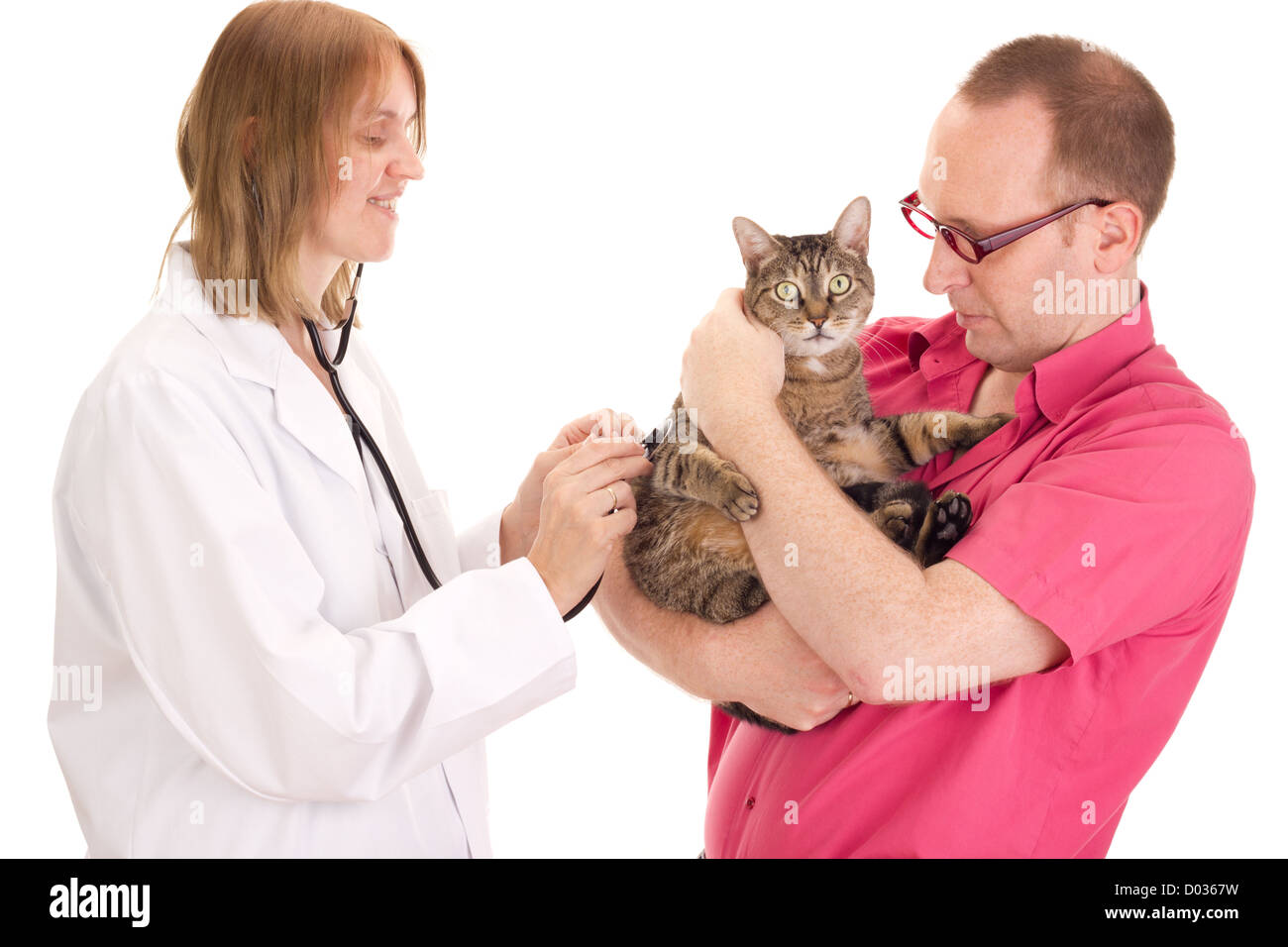 Veterinary surgeon man hi-res stock photography and images - Alamy