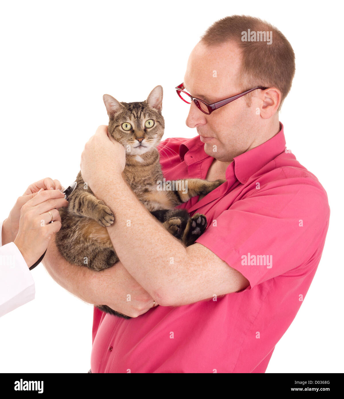 Person at veterinary physician Stock Photo - Alamy