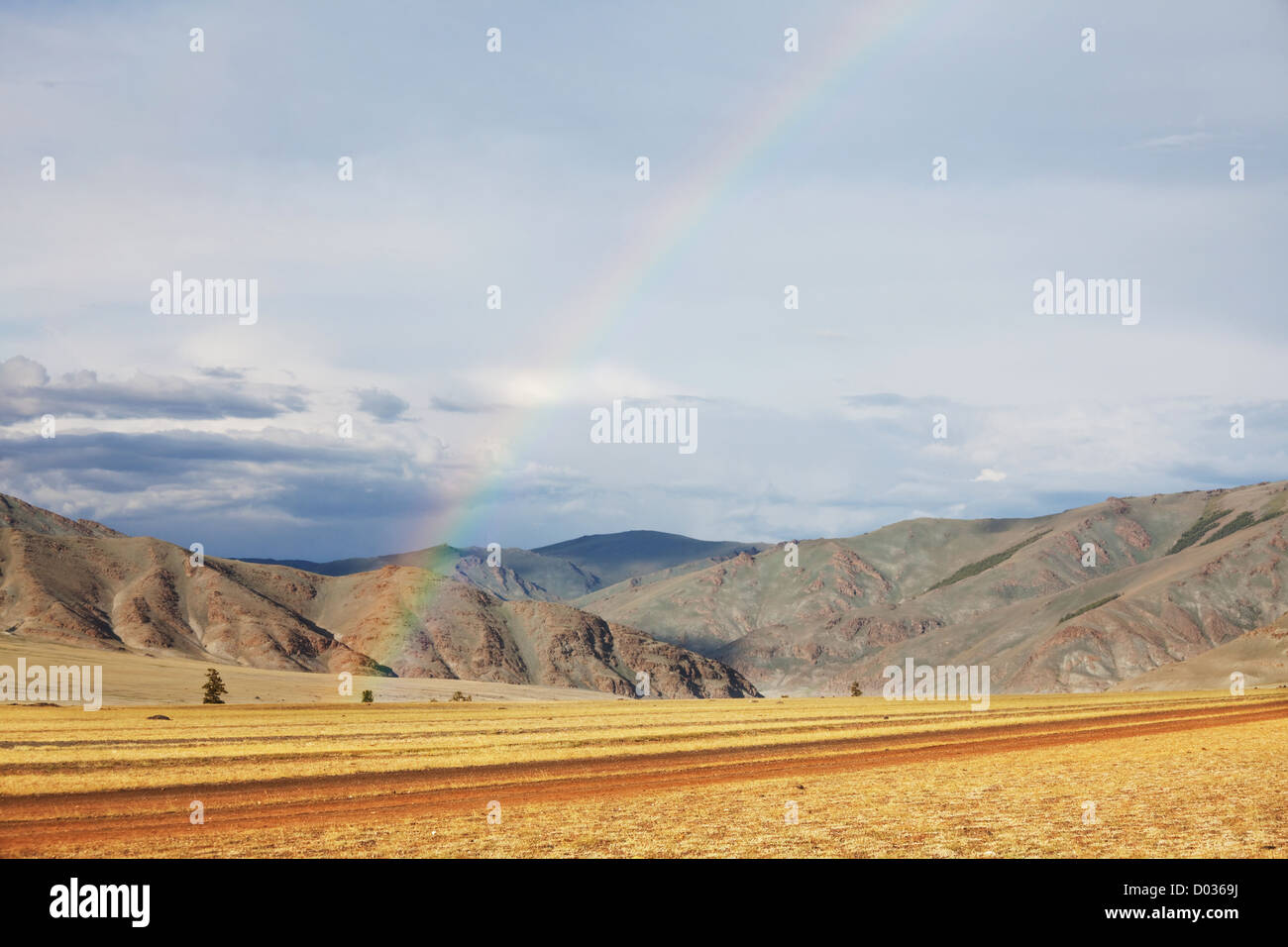 prairie after rain Stock Photo - Alamy