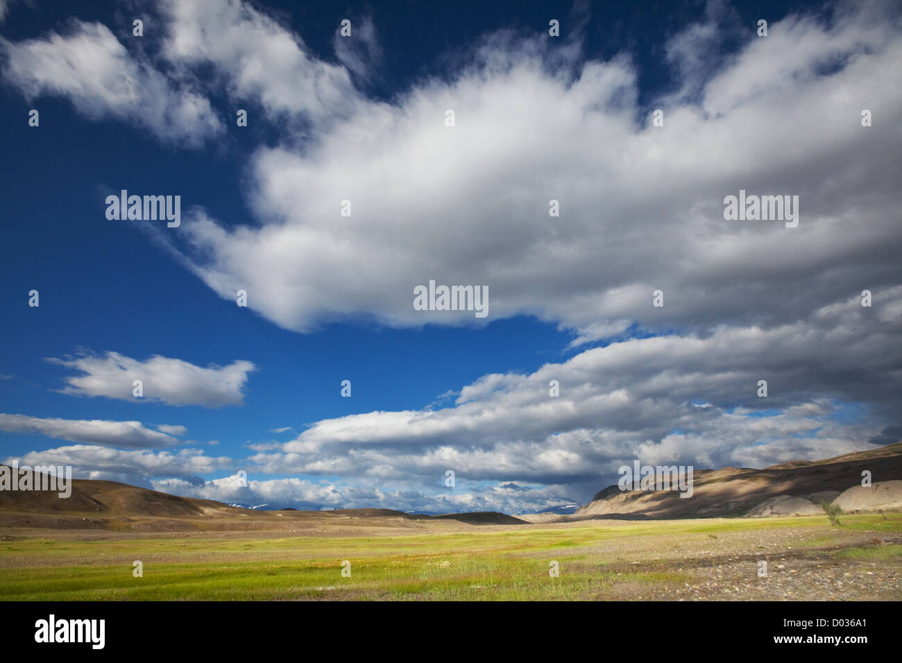prairie after rain Stock Photo - Alamy