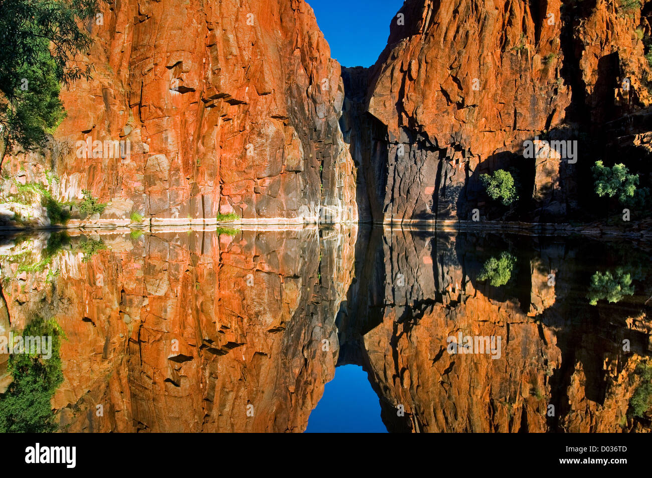 Python pool hi-res stock photography and images - Alamy