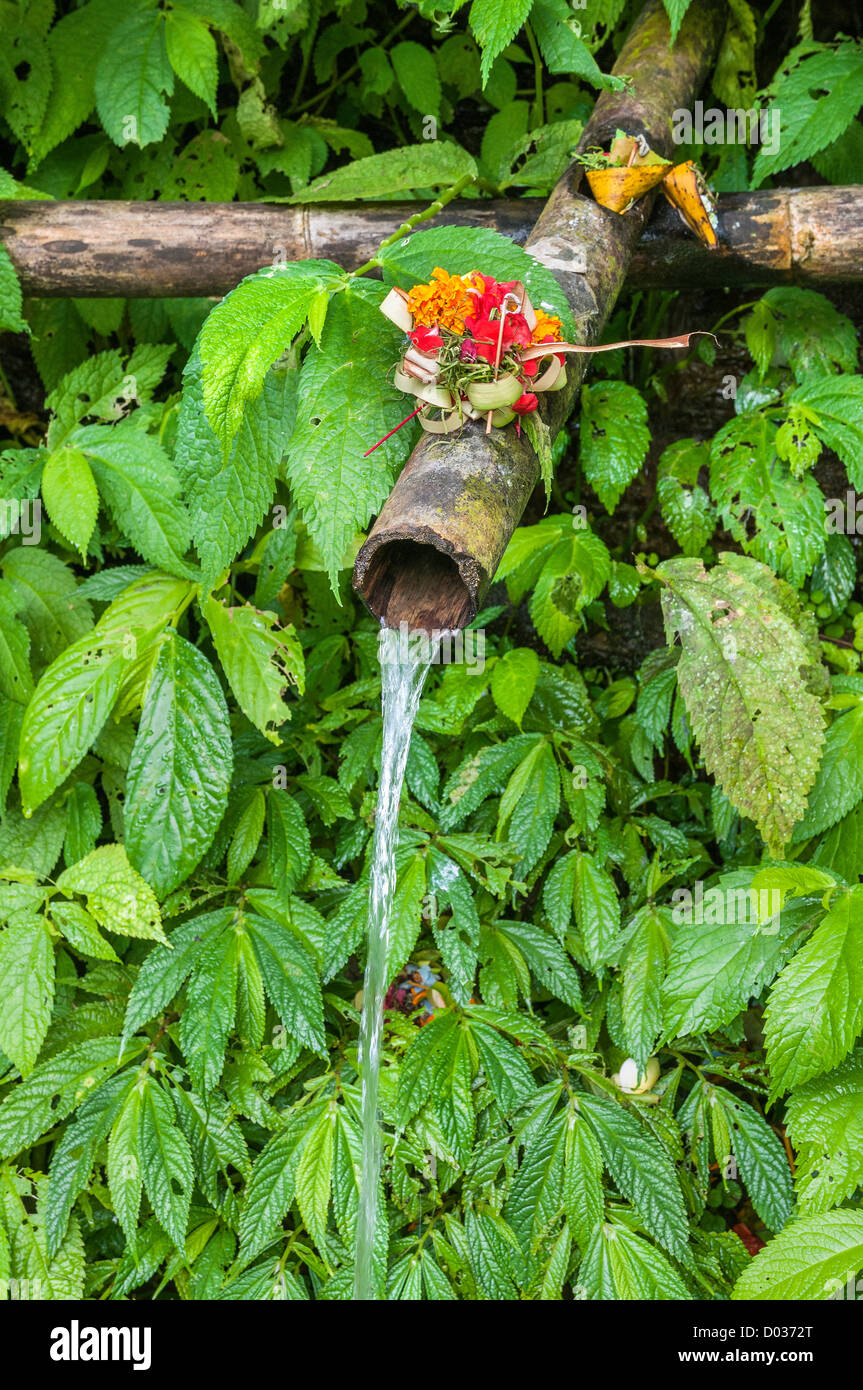 Bamboo water pipe hi-res stock photography and images - Alamy