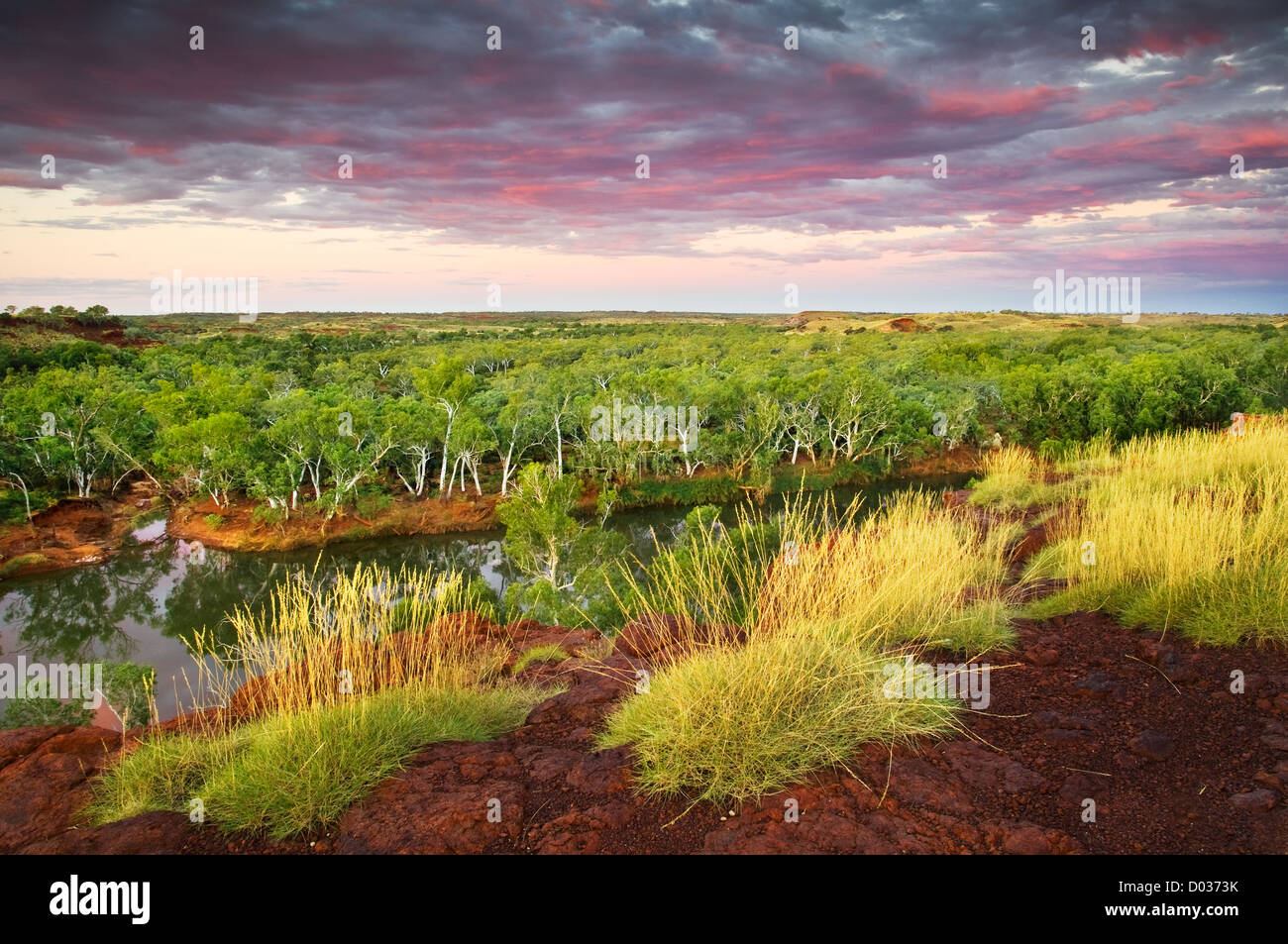 Millstream chichester national park hi-res stock photography and images ...