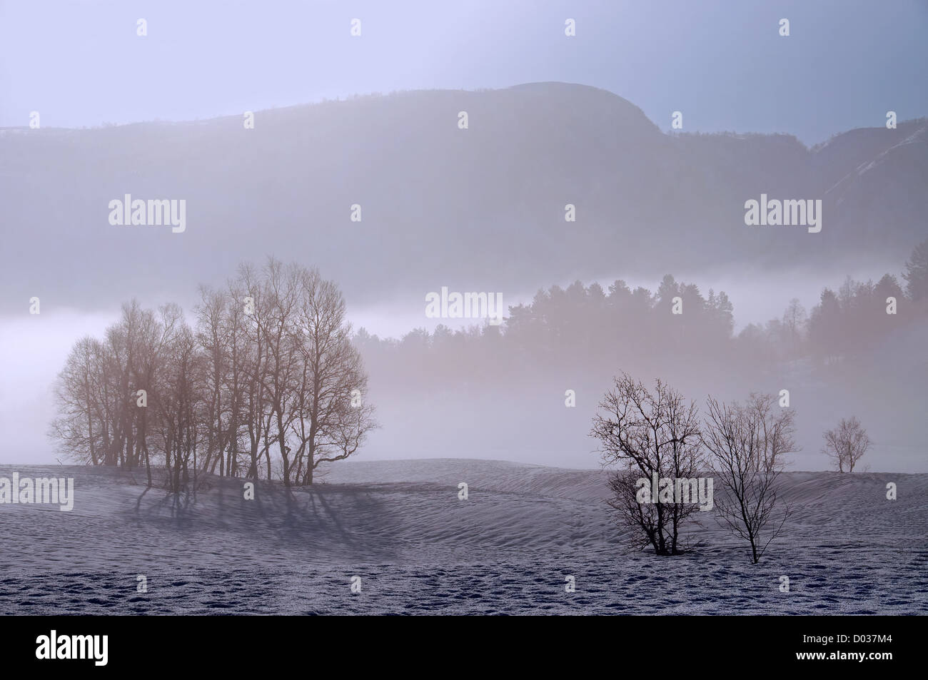 Morning mist and a winter landscape Stock Photo - Alamy