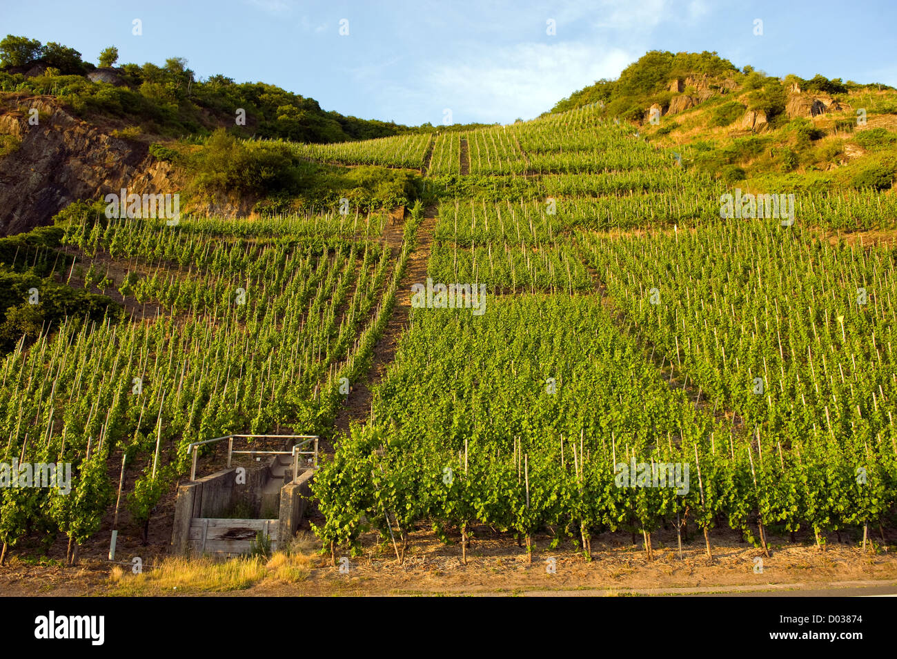 Mosel moseltal germany hi-res stock photography and images - Alamy