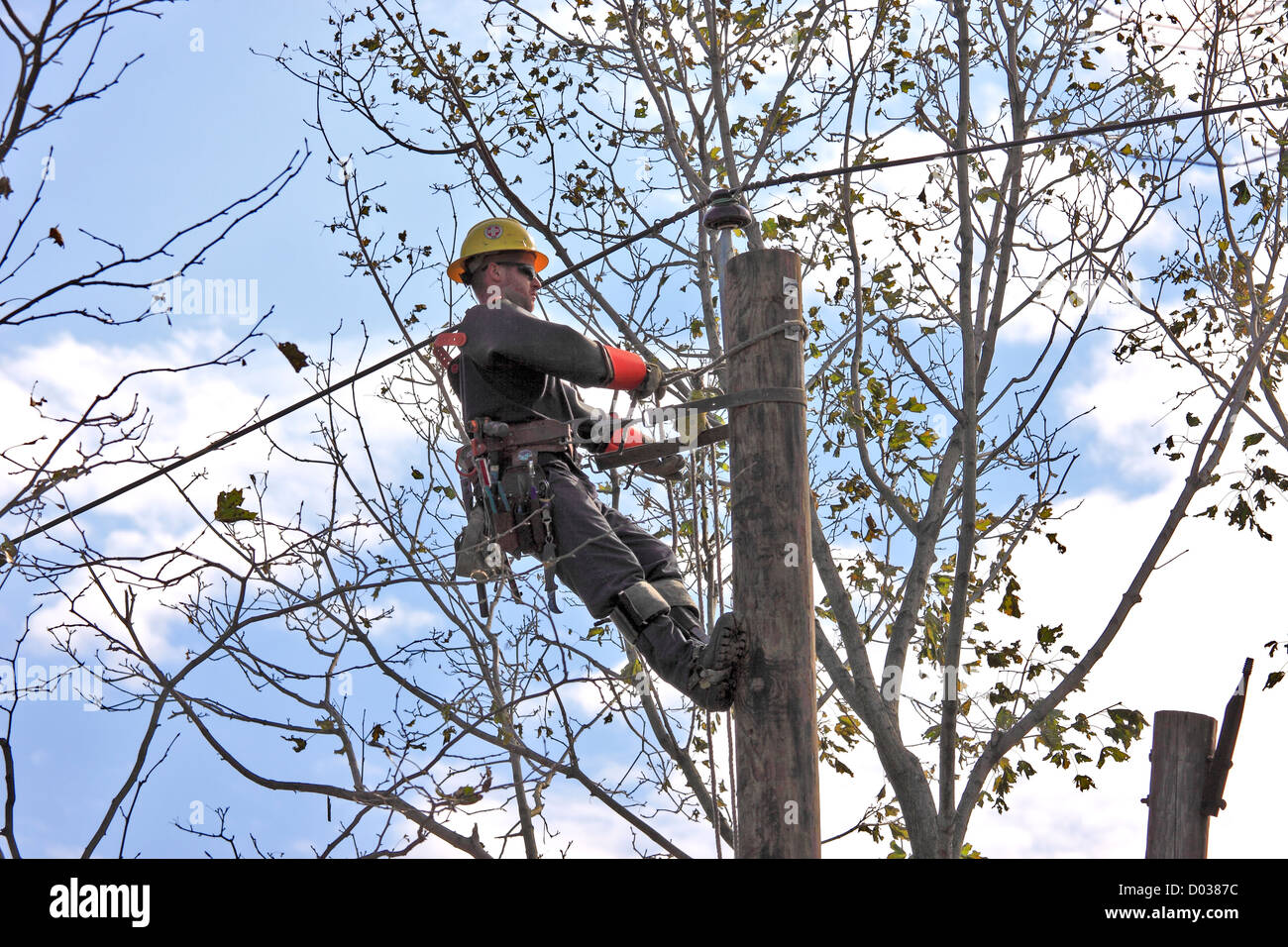 Worker climbing utility pole hi-res stock photography and images - Alamy