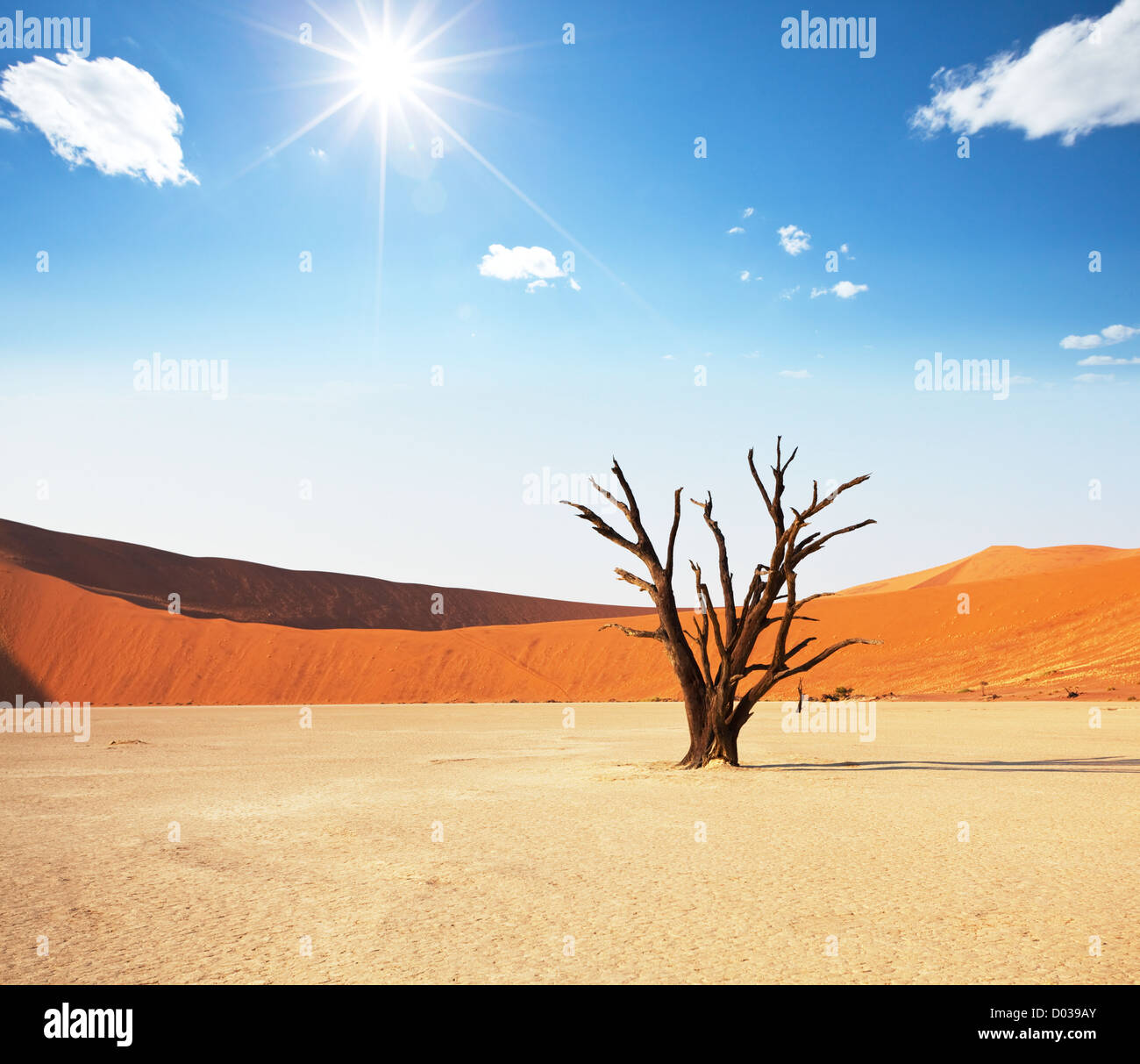 Dead valley in Namibia Stock Photo - Alamy