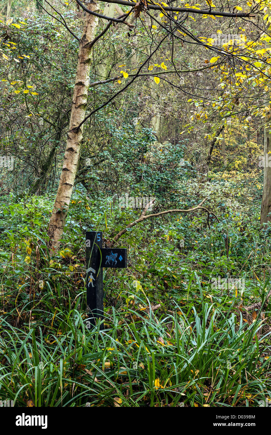 Signpost Deep within Urban Woodland in Essex Stock Photo - Alamy