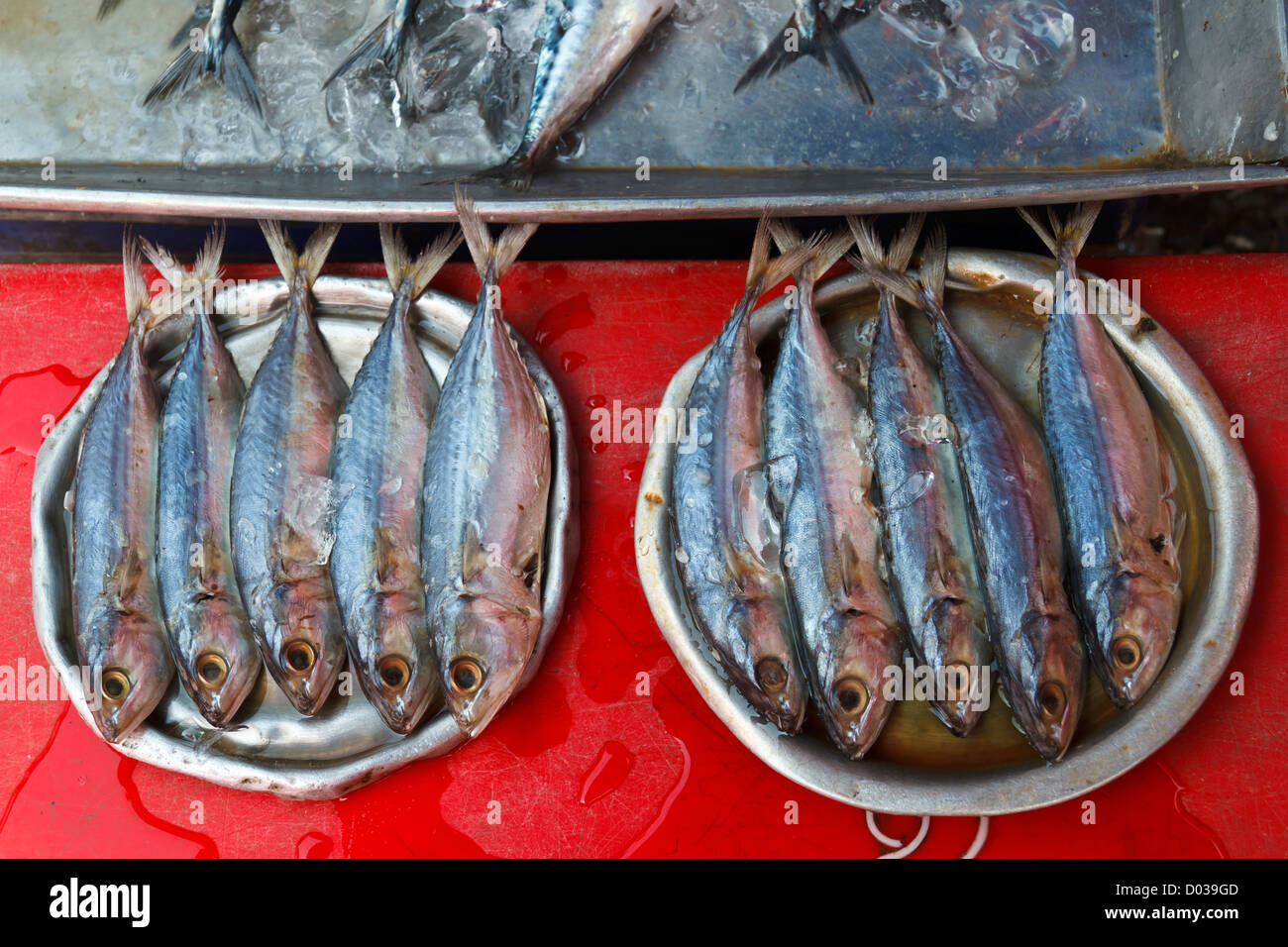 Fish on a Market in Bangkok, Thailand Stock Photo - Alamy