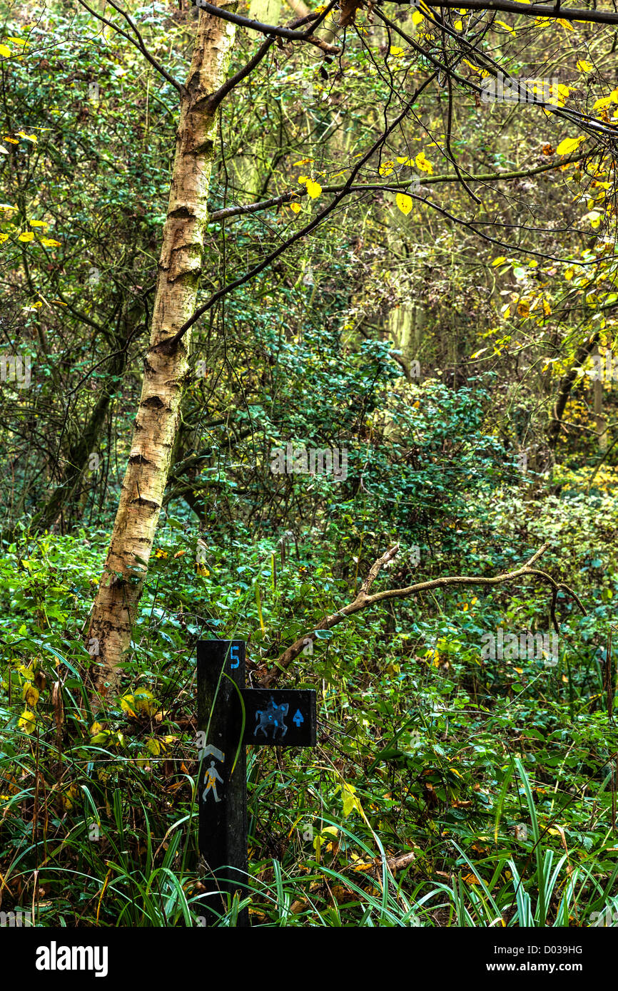 Signpost Deep within Urban Woodland in Essex Stock Photo - Alamy