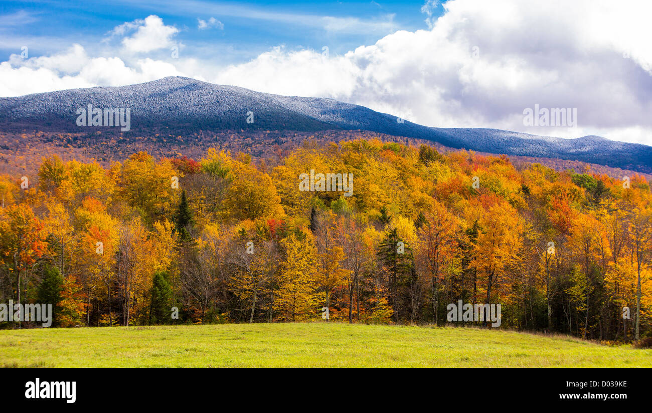 GREEN MOUNTAINS, VERMONT, USA - Autumn foliage on trees near Camel's ...