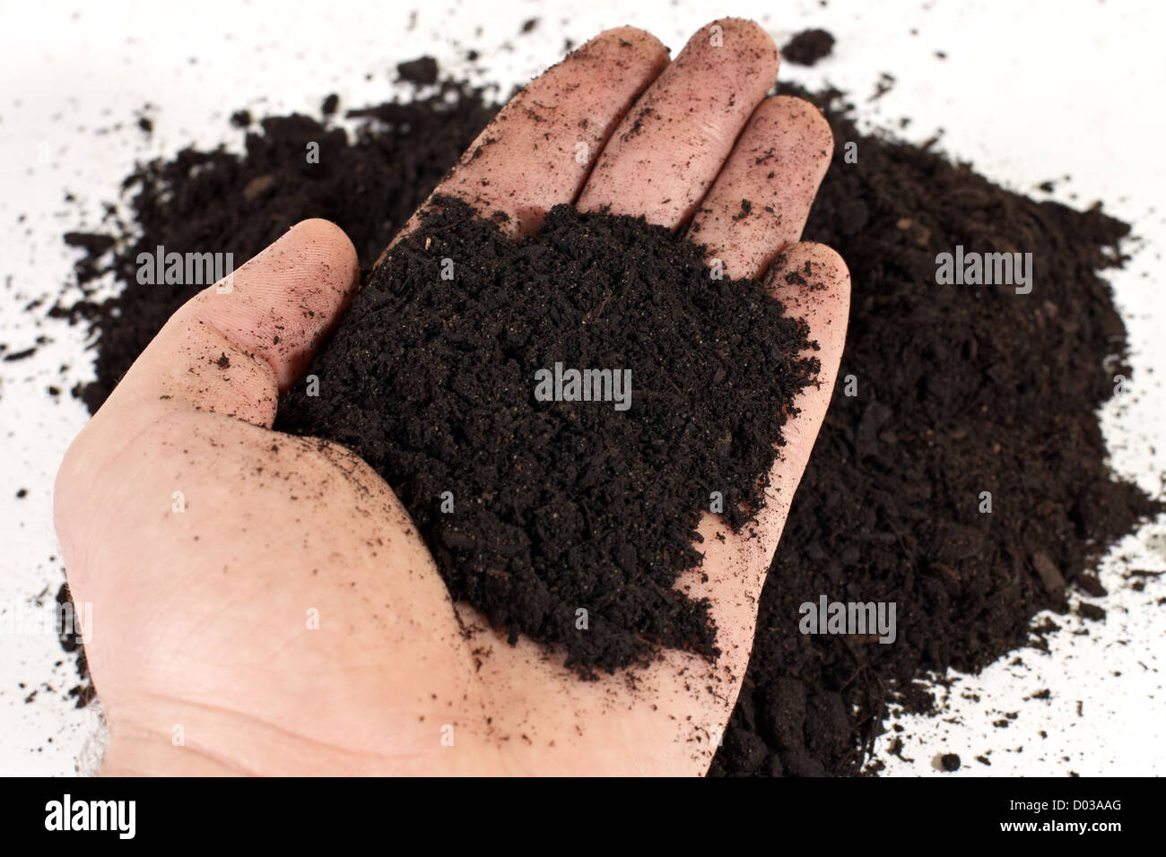 Soil in hand Stock Photo - Alamy