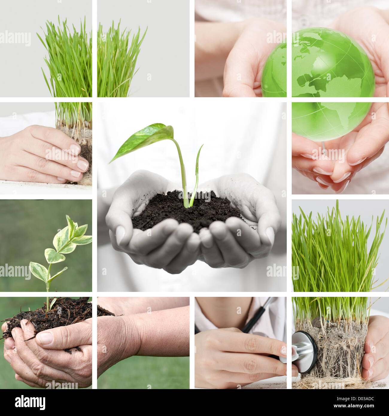 New life collage by human hands take care about nature Stock Photo - Alamy