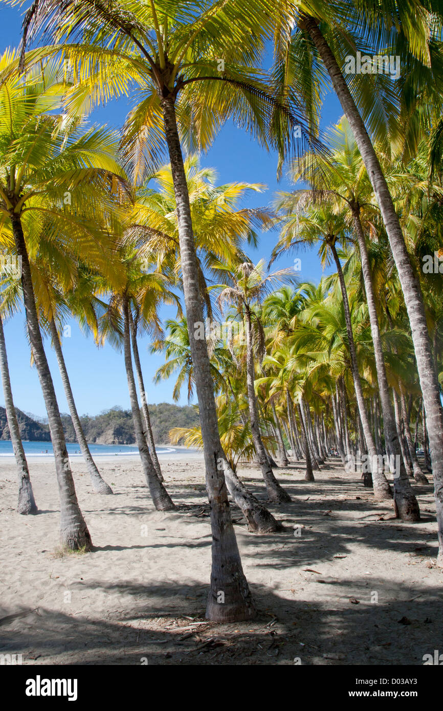 Playa carrillo costa rica hi-res stock photography and images - Alamy