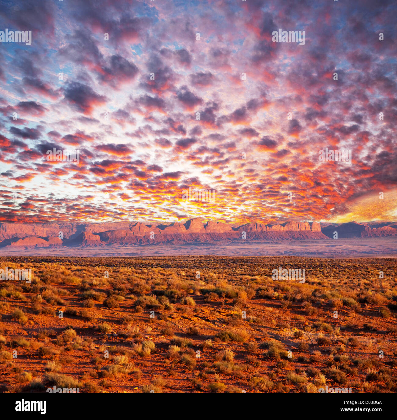 prairie at sunset Stock Photo - Alamy