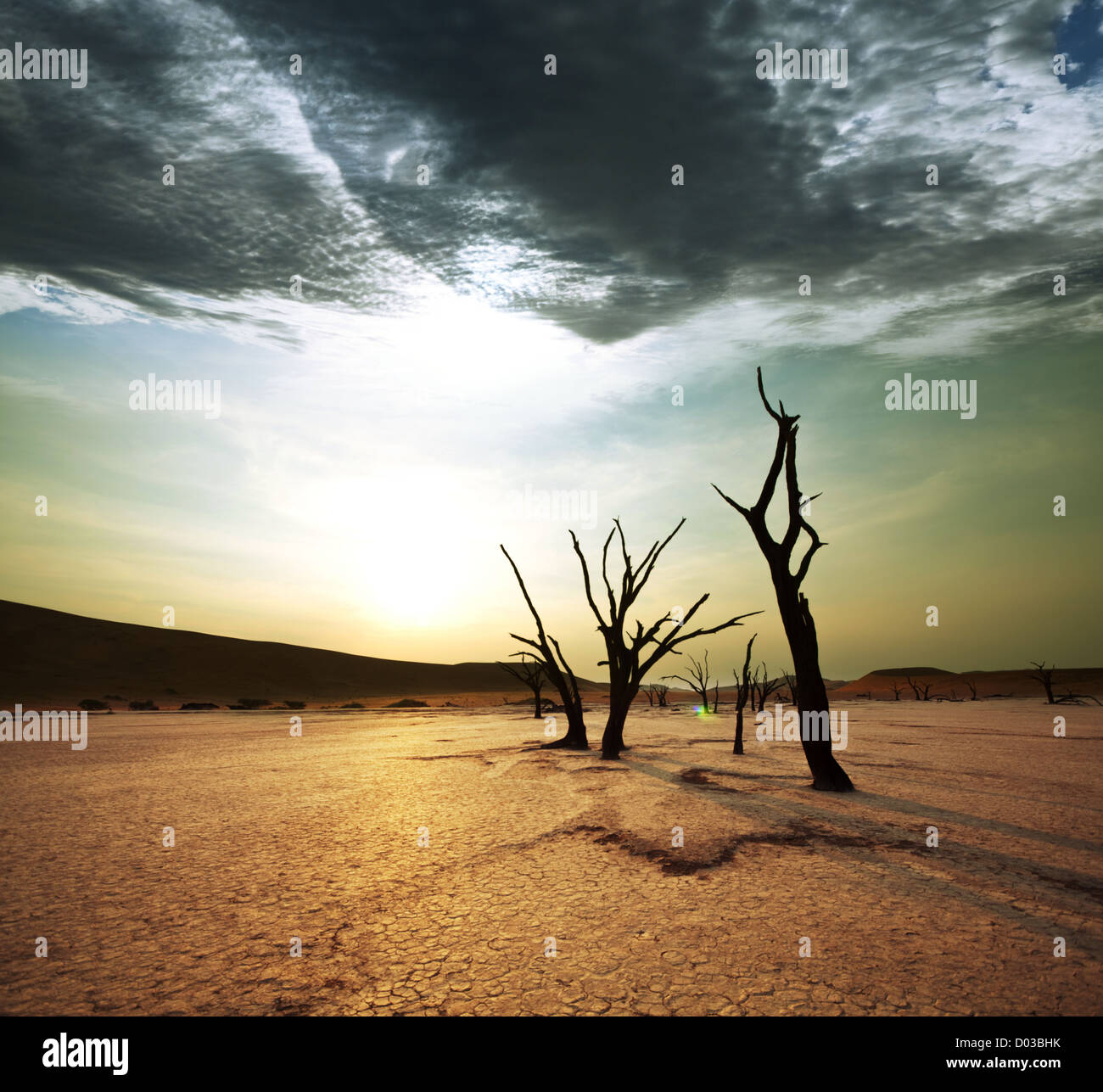 Dead valley in Namibia Stock Photo - Alamy