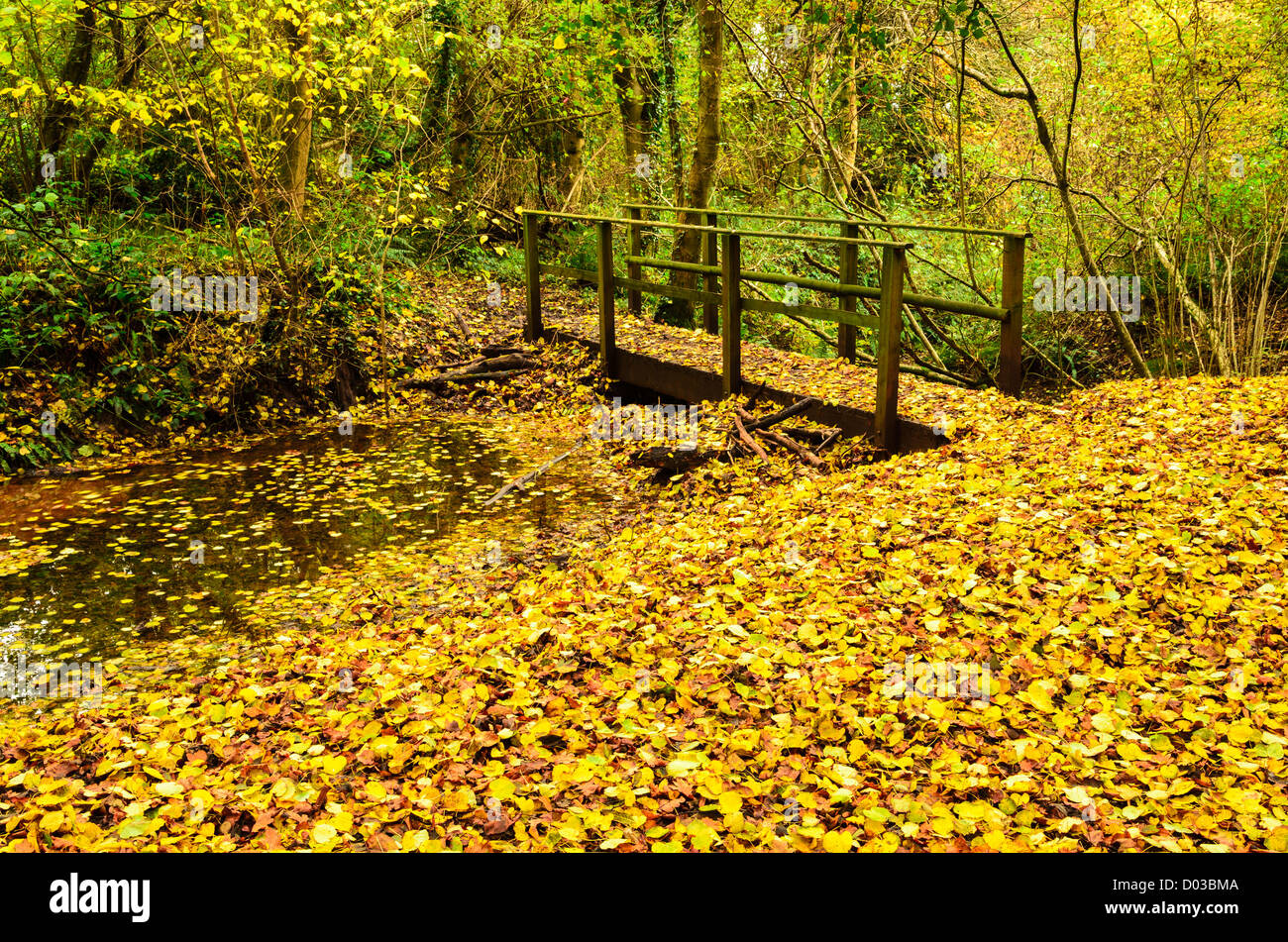 Footbridge scenery hi-res stock photography and images - Alamy