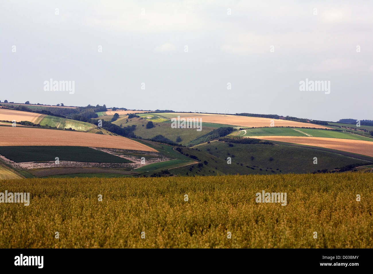 Millington hi-res stock photography and images - Alamy