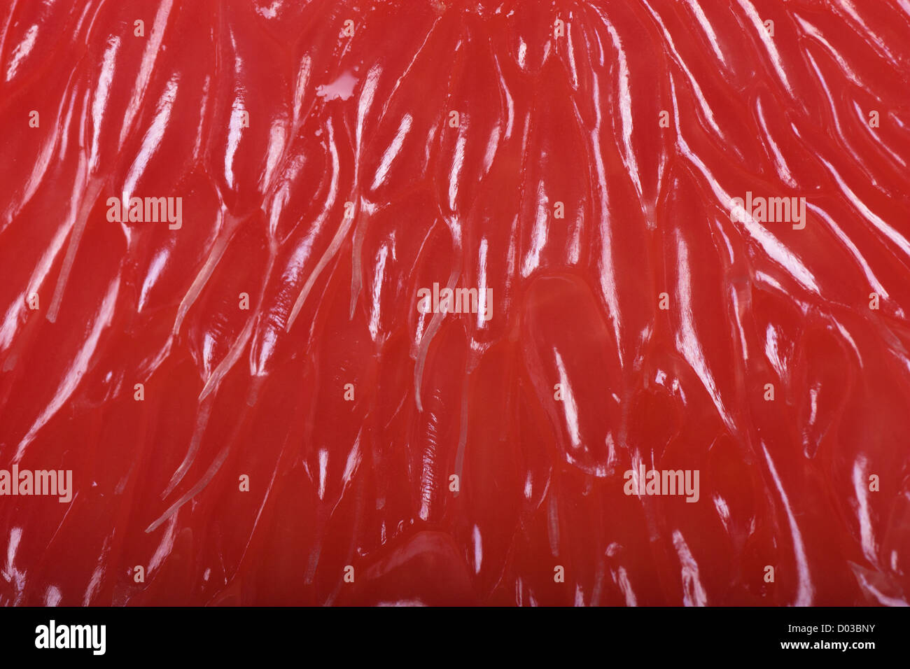 White pulp hi-res stock photography and images - Alamy
