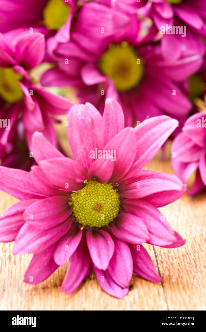 Deep depth of field hi-res stock photography and images - Alamy