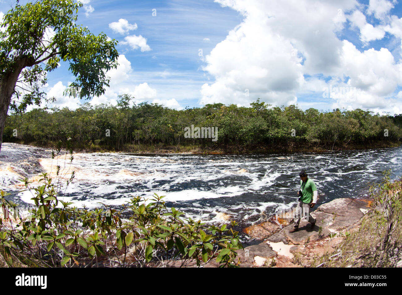 RIver at Anavilhanas protected area, amazonas satate, amazon forest ...
