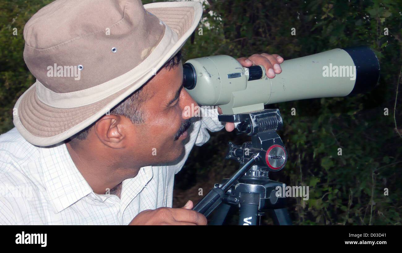 Bird Spotter Stock Photos & Bird Spotter Stock Images - Alamy