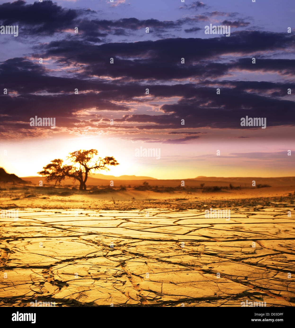 Dead valley in Namibia Stock Photo - Alamy