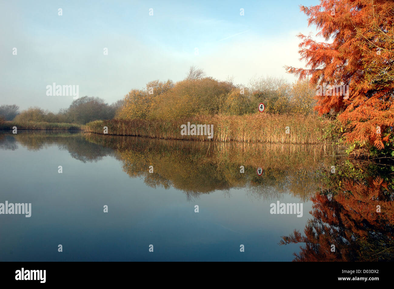 Autumn colours on the River Bure near Belaugh, Norfolk, Broads National ...