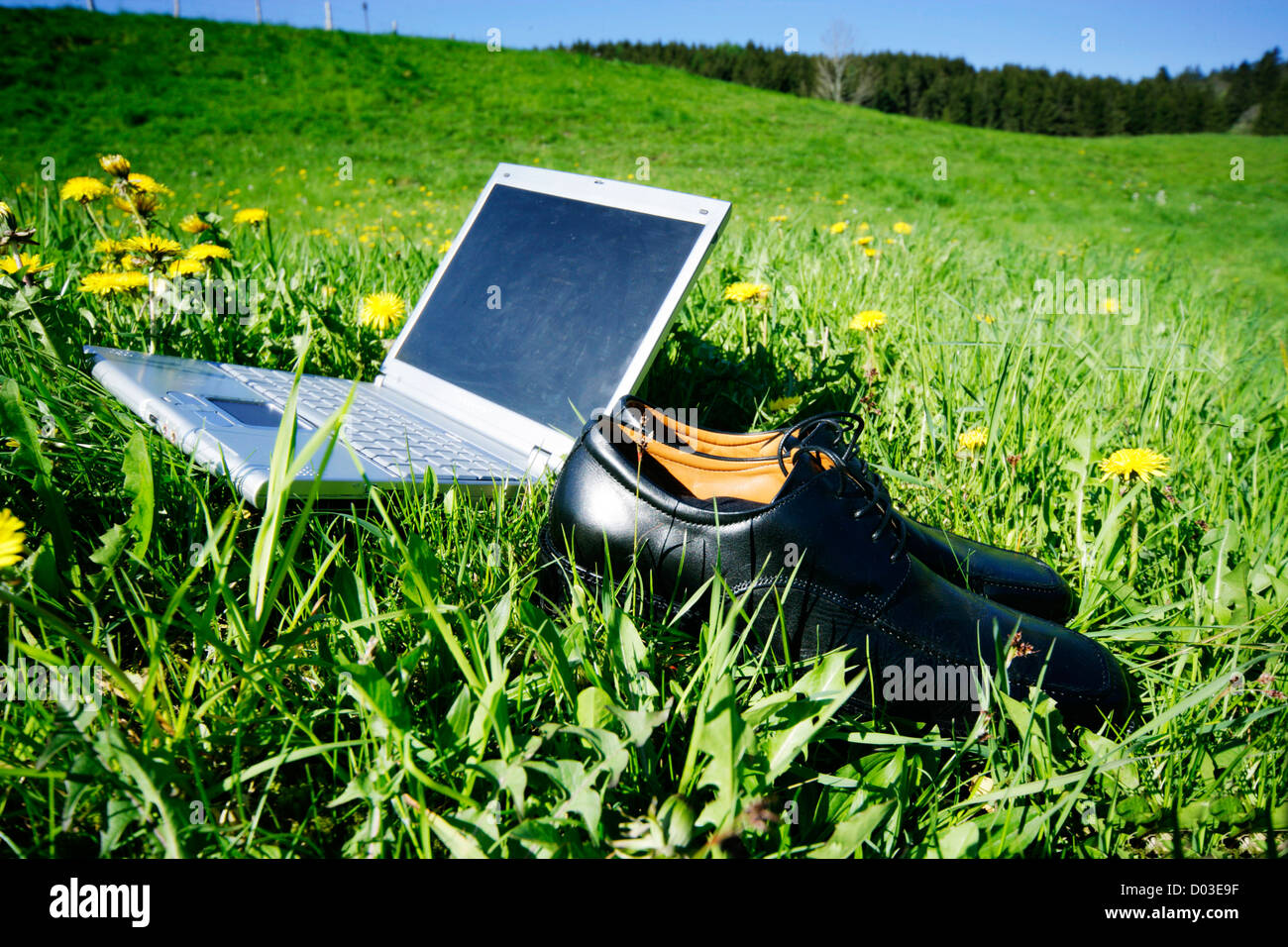 laptop in grass as a symbol for fieldwork,leisure or holiday Stock ...
