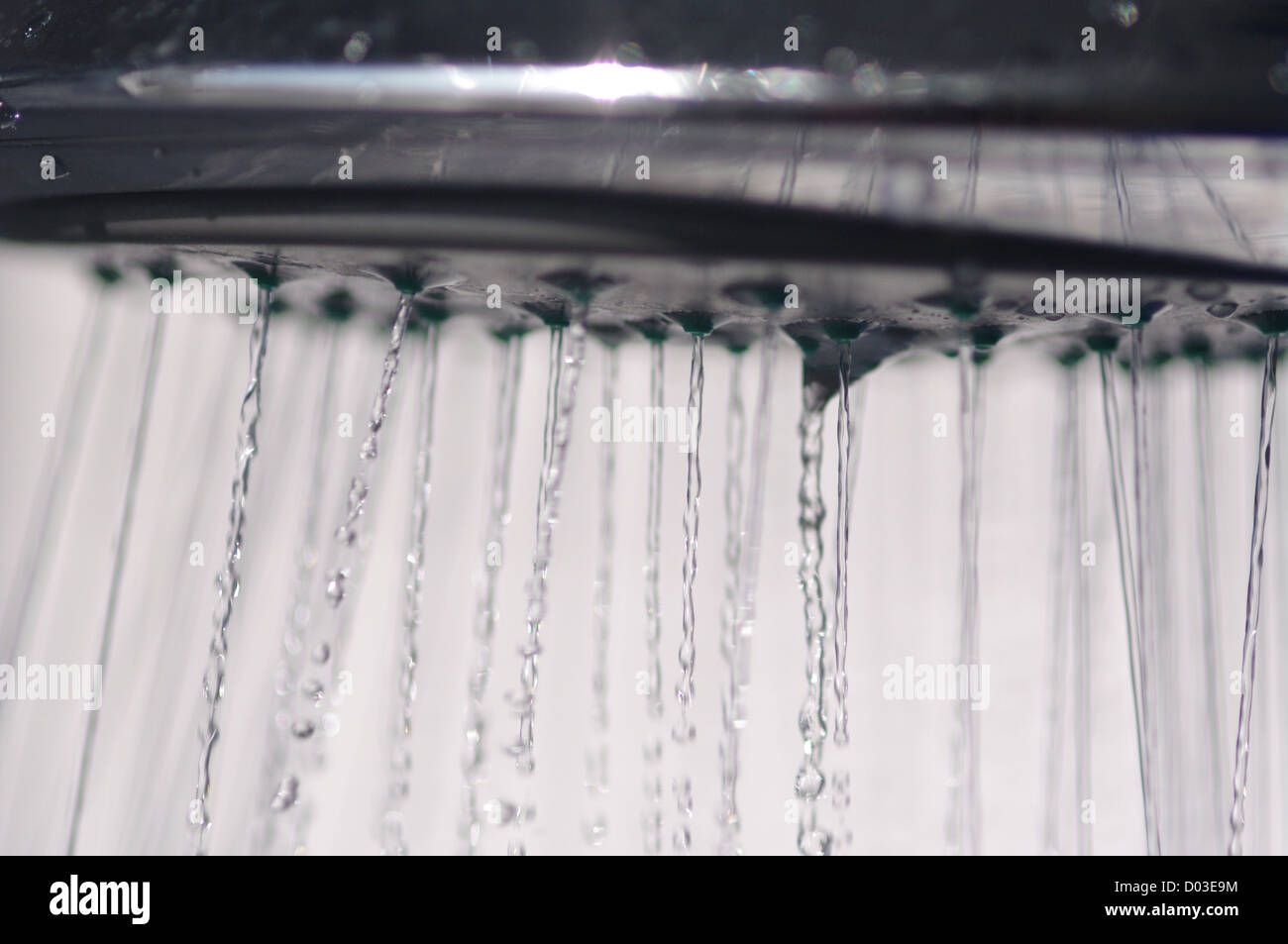 water drops falling from a shower indoors Stock Photo - Alamy