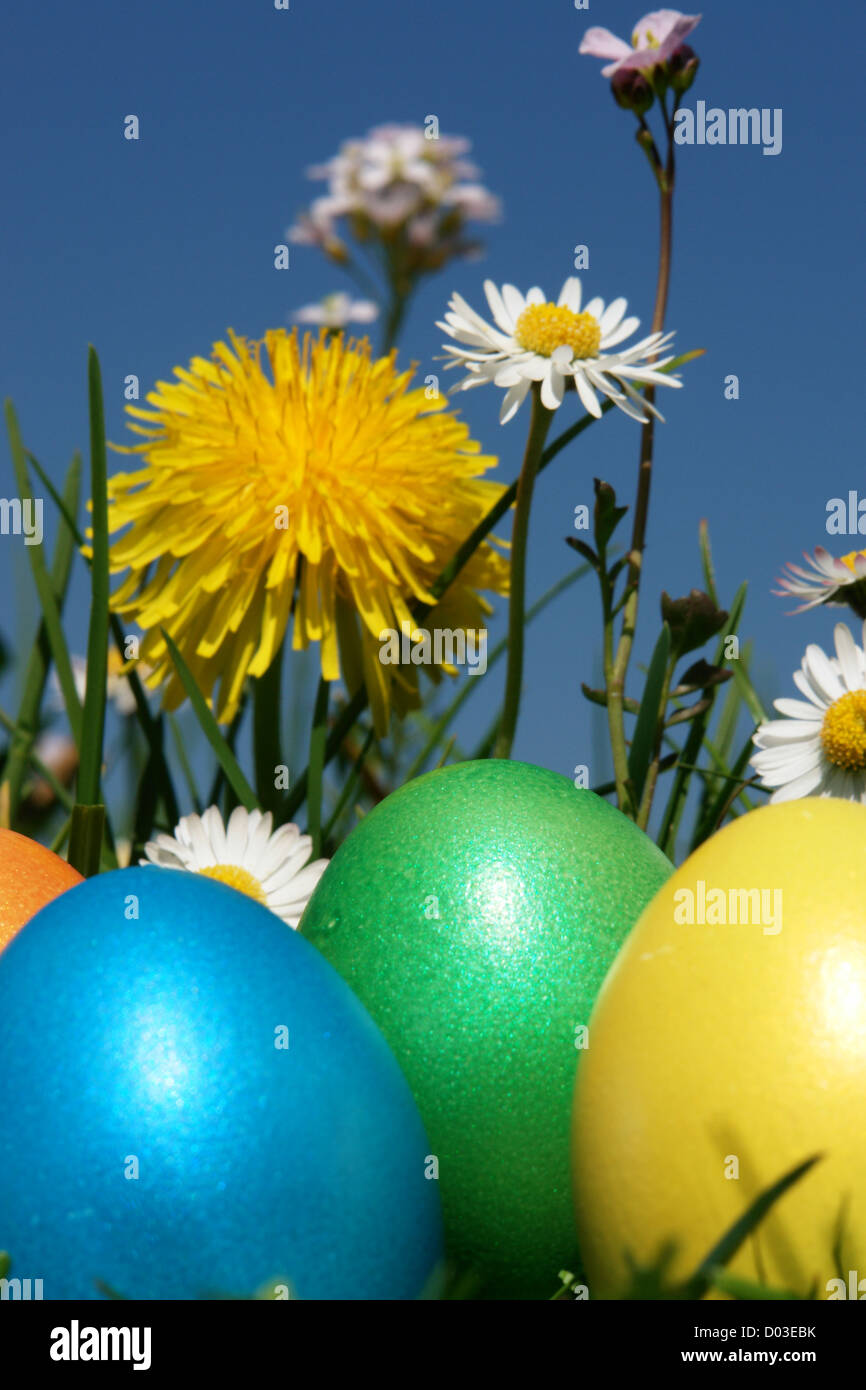 colorful Easter egg in the fresh spring meadow Stock Photo - Alamy