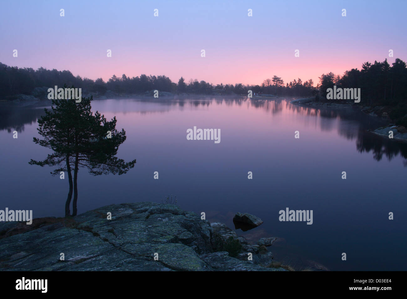Baneheia in Kristiansand. South Norway Stock Photo - Alamy