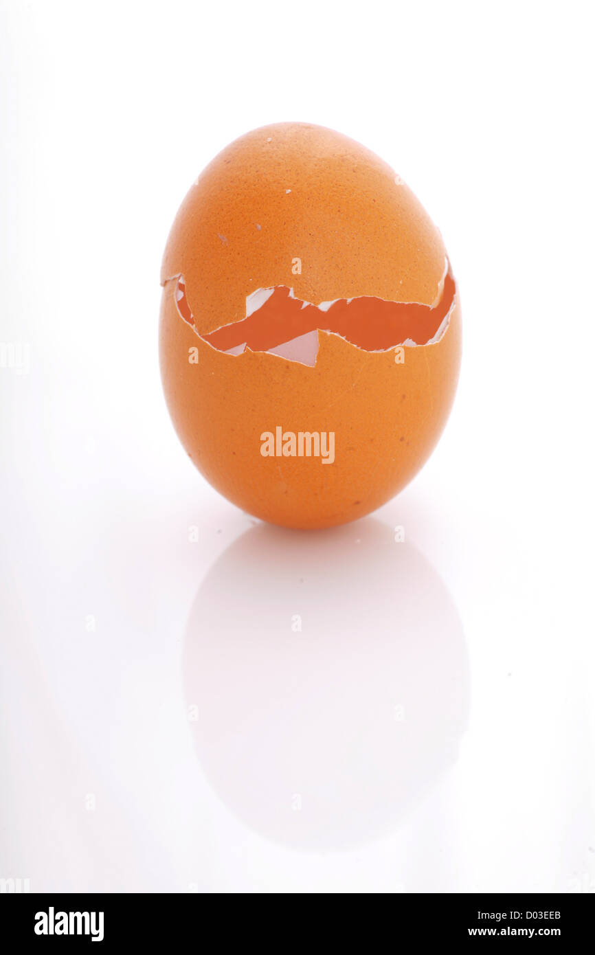 broken egg shell isolated on white background Stock Photo - Alamy