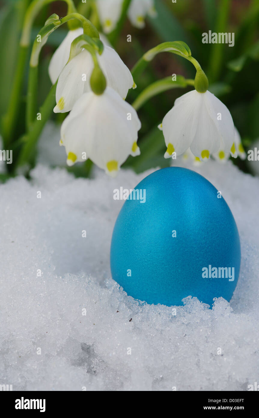 Snow Bells Flowers High Resolution Stock Photography and Images - Alamy