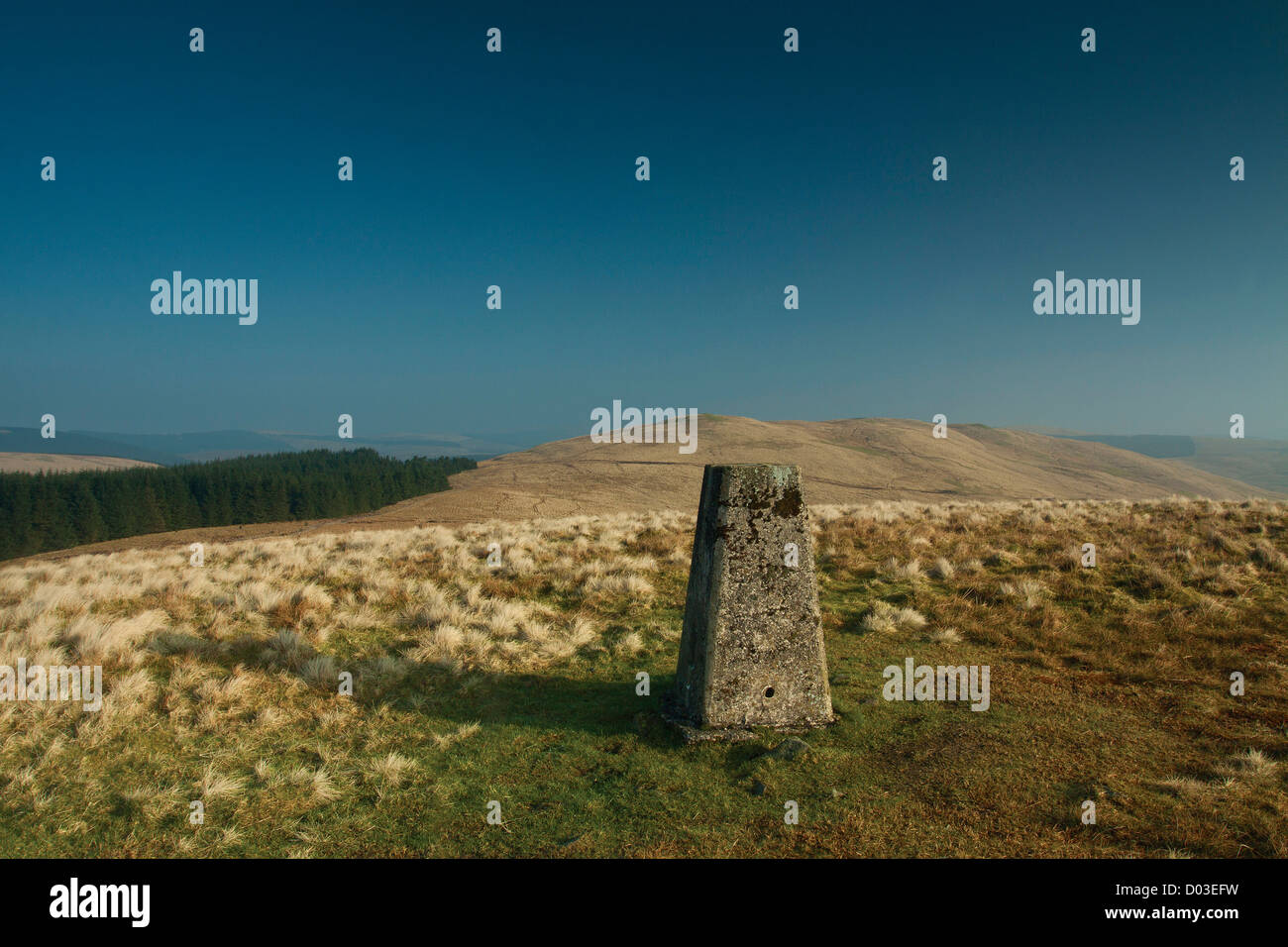 Annanhead Hill on the Annandale Way, Galloway Stock Photo - Alamy